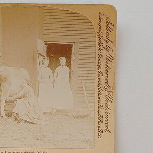 STEREOGRAPH | Accents | Antique Stereograph Card Farm Scenes Waiting ...